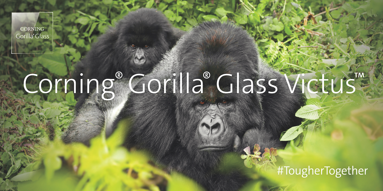 康寧推出Corning Gorilla Glass Victus 史上最堅韌玻璃 Samsung將首發採用 – 史塔夫科技事務所